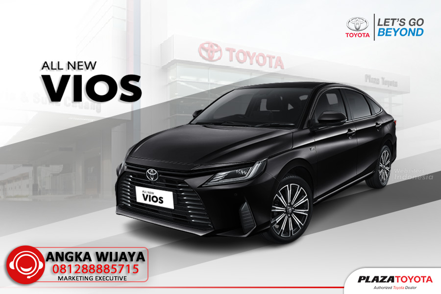 New Vios